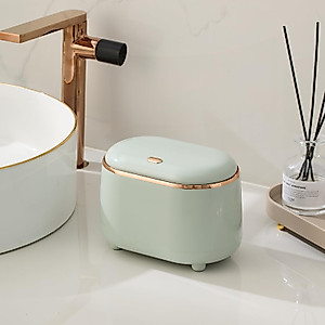 LtyTz Mini Trash Can with Lid, Removable Desk Trash Can Office Plastic Garbage Can,Tiny Waste Basket for Bathroom,Office,Kitchen,Desk,Coffee Table(Green)