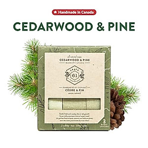 Crate 61, Handmade in Canada, Plant Based Cold Process Natural Bar Soap For Face And Body, With Premium Essential Oils, Eucalyptus & Peppermint For Men And Women 3 Pack (Cedarwood Pine)