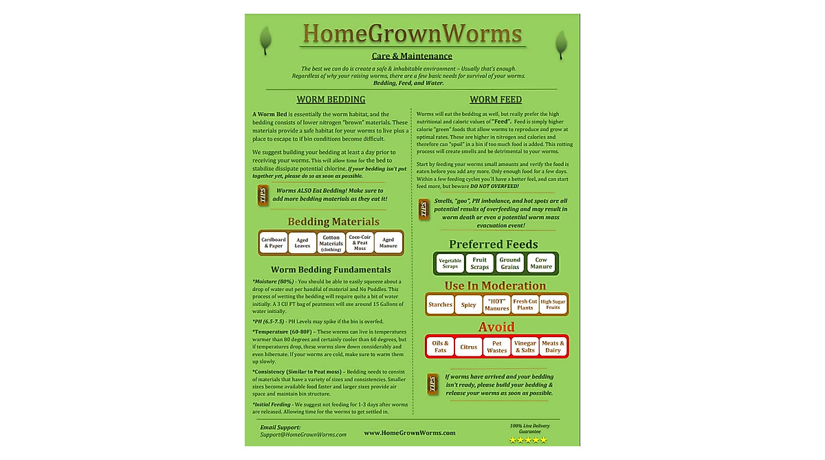 Buy 100+ Live Red Wiggler Worms - Organic & Fast Delivery