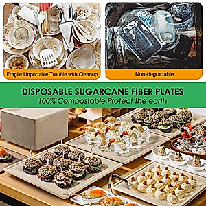 Gezond Compostable Square Plates 6 Inch 50 Pack Disposable Paper Plates Sugarcane Cake Plates for Party Unbleached Eco-friendly Salad Plates