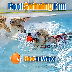 HOLYSTEED Squeaky Dog Toys for Small Dogs and Medium Breeds, Puppy Small Dog Toys Squeaky Dog Balls 6pcs