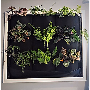 12 Pocket Indoor Waterproof Vertical Living Wall Planter