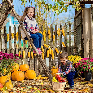 6 Pack 11 x 6.7'' Large Round Wooden Baskets with Handles, Handmade Wood Basket, Bushel Baskets, Farmers Market Baskets, Apple Baskets, Wooden Baskets for Indoors Outside Personal or Commercial Use