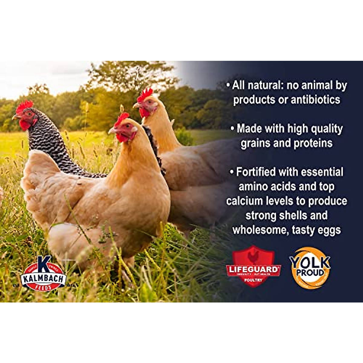 Kalmbach Feeds 17% All Natural Layer Pellet for Egg Laying Chickens, 10 lb Bag