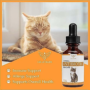 Life of Health Natural Antibiotics for Cats - Cat Antibiotics - Cat Antibiotic - Pet Antibiotics - Cat Immune Support - Antibiotic for Cats - Cat Multivitamin - Cat UTI Antibiotics -