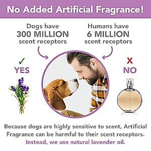 VET-VIRTUE Dog Ear Cleaner Drops - 8oz Dog Cleaning Solution for Ear Cleaning and Grooming - Great for Flushing Out Build Up and Maintaining Hygiene