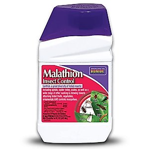 Bonide Malathion Insect Control, 16 oz Ready-to-Mix Concentrate Bug & Spider Mite Killer for Outdoor Garden Use