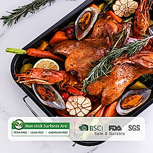 HONGBAKE Small Roasting Pan with Flat Rack, Nonstick Chicken Roaster Tray, Mini Oven Pans for Cooking Lasagna with Stainless Steel Handles, 14 X 11Inch