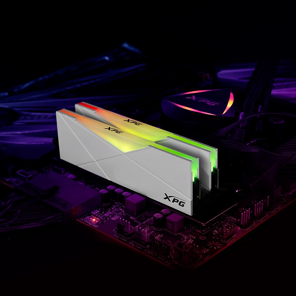 ADATA Premium SSD 1TB PCIe 4x4 NVMe M.2 2280 SSD with XPG D50 RGB DDR4 3200MHz 2x8GB UDIMM RAM kit Bundle