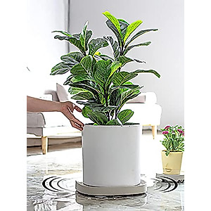 MYBAQ,Plant Tray with Wheels,Planter Caddy with Wheels,Plant Rollers for Outdoor Plants,Plant Caddy,Plant Roller Base,White,Suitable for Home, Living Room, Balcony, Patio and Garden