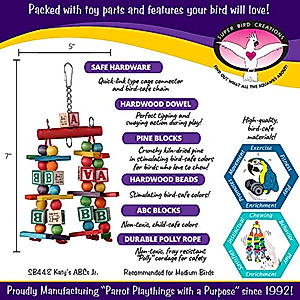 Super Bird Creations SB448 Katy's ABC Jr. Bird Toy, Medium Bird Size, 7" x 5" x 1.5"