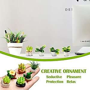 16Pcs Miniature House Plants Accessories Mini Potted Plants Bonsai Plant for Mini Garden Fake Greenery Decoration Boys Girls