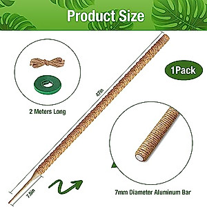 47 Inch Moss Pole for Plants Monstera, Bendable Plant Stakes for Climbing Plants, Monstera Moss Pole, Bendable Coco Coir Plant Support, Plant Sticks Support for Indoor Plants (1 Pack)