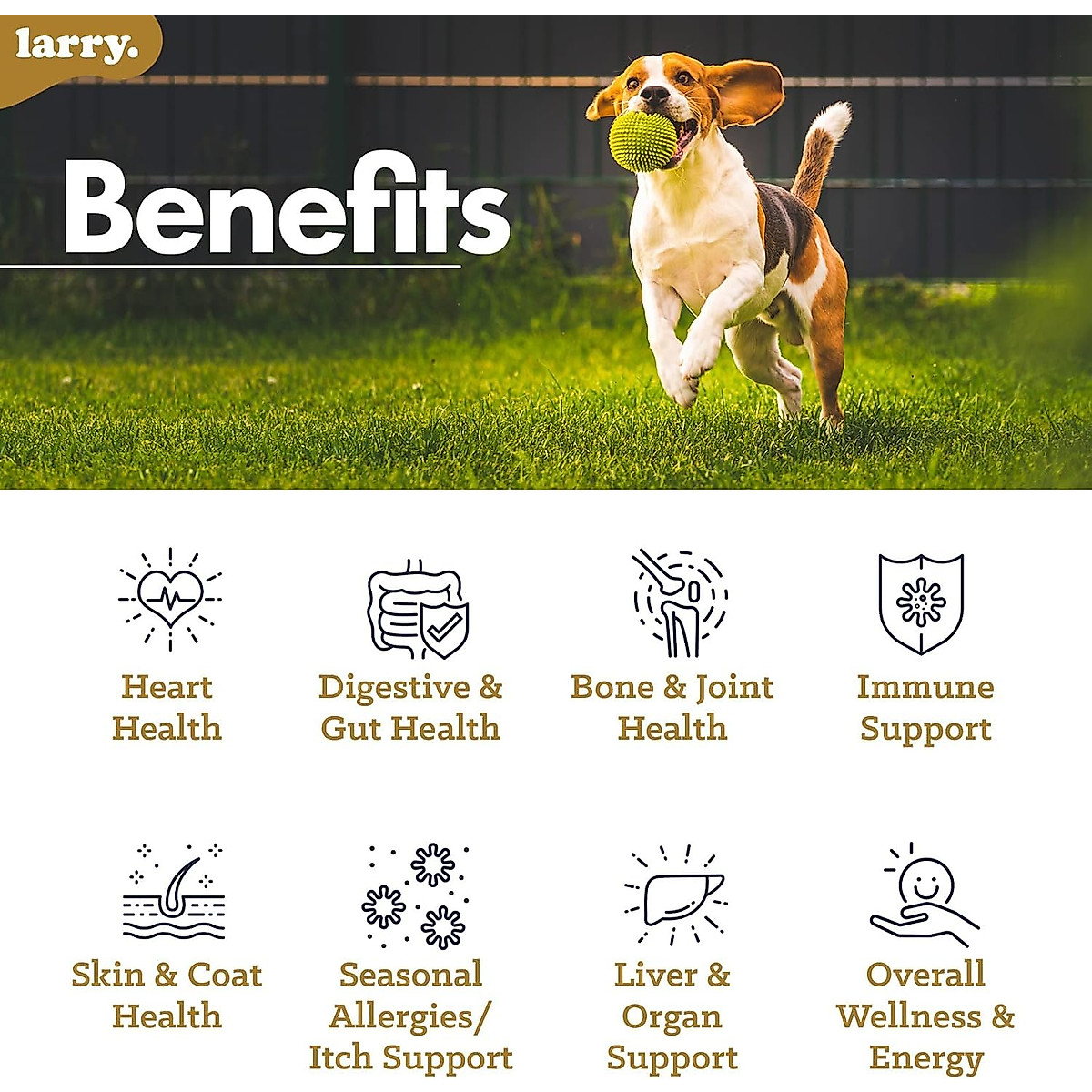 Larry 8-in-1 Multivitamin Dog for Small Dogs | Heart, Digestion, Liver, Skin, Coat, & Joint Support for Dogs | with Vitamins, Minerals, Omegas, & Glucosamine Chondroitin | 60 Soft Chews