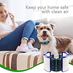 MaximalPower HEPA Filter and Carbon Filter for Dyson TP04 HP04 DP04 Air Purifier - Pure Cool Purifier Fan Replacement Filter True Glass HEPA Filter (1 Set)