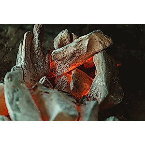 Jealous Devil Onyx Binchotan Charcoal, 20 lbs, Box