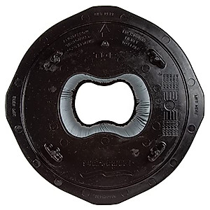 Pentair 27002-0200S Filter Module Replacement Sta-Rite System 2 Modular Media PLM200 Pool and Spa Cartridge Filter