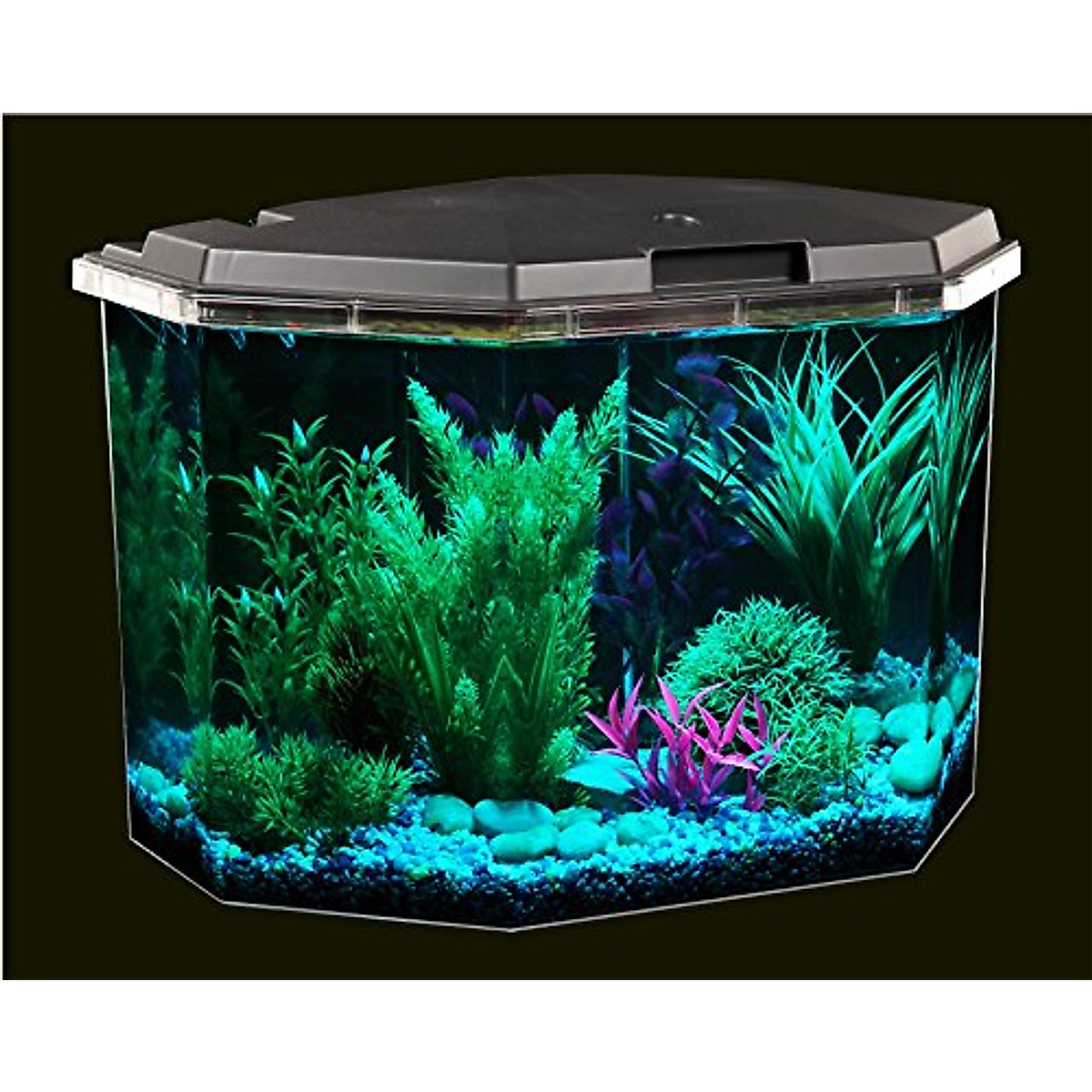 Koller Products 6.5-Gallon Aquarium Kit with Power Filter and LED Lighting, (AP650)