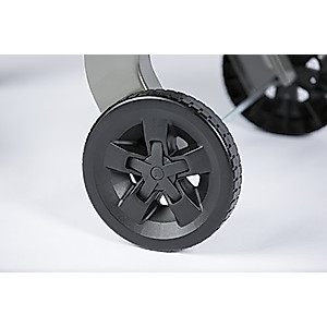 Weber Spirit II E-210 2-Burner Liquid Propane Grill, Black