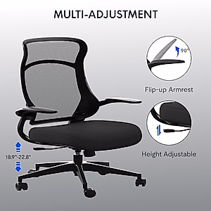FLEXISPOT OC2 Comfy Office Chair Ergonomic Back Support Home Office Desk Chairs Comfortable Computer Chair with Flip-up Arm Rest Comfy Chair for Living Room/Bedroom/Study(Black)
