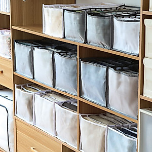 Teursa Nylon Mesh Wardrobe Clothes Organizer for underwear,socks,leggings,skirts,T-shirts,jeans and More clothes organizer for folded clothes available in washing machine (M, White)