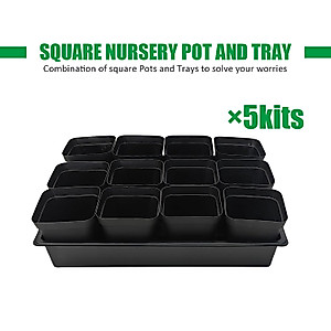 RooTrimmer 3.5 inch Square Nursery Pots 60pcs, Sturdy Seed Starter Trays 5 Pcs, Seeds Starting Germination, Small Planter Nursery Propagation 5 Sets