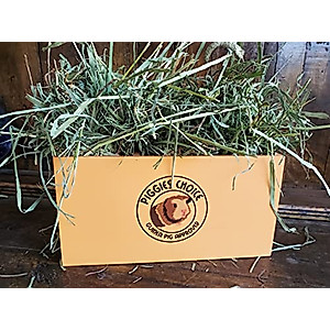 Piggies Choice Hay Feeder Natural Pine Wood Arch Guinea Pig Hay Rack with Option to Attach to Cage (Mango with Bottom)