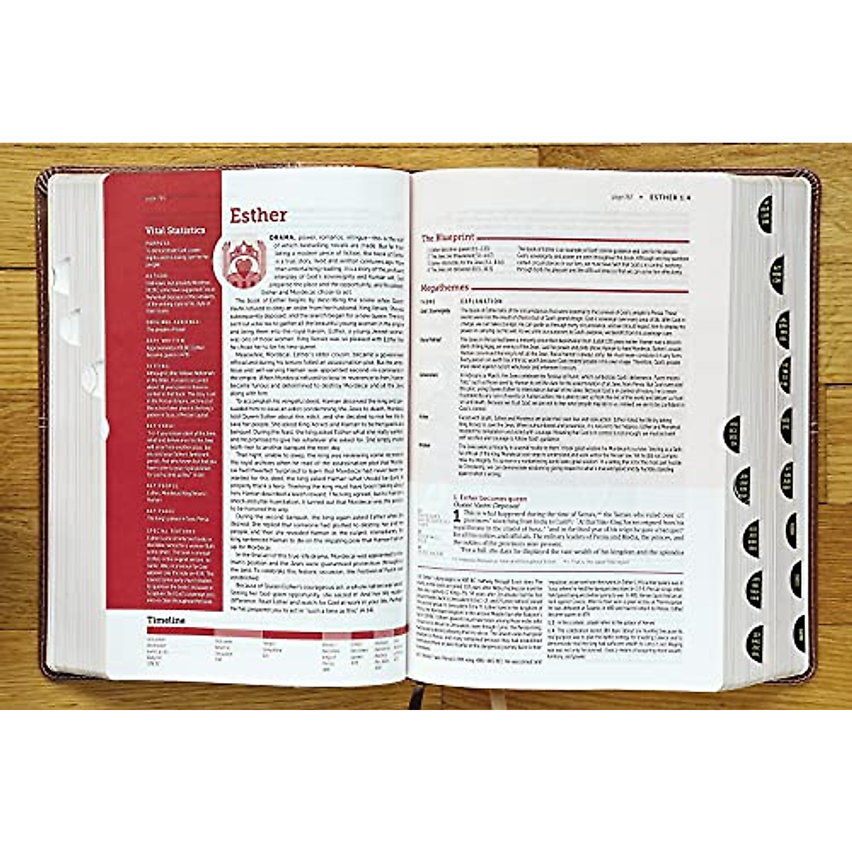 NIV, Life Application Study Bible, Third Edition, Leathersoft, Brown, Red Letter, Thumb Indexed