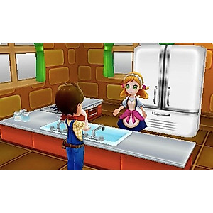 Harvest Moon Skytree Village - Nintendo 3DS
