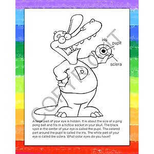 ZoCo - Learn About Eye Care - Coloring Books (50 Bulk Pack, Without Crayons) - Optometrist, Eye Doctor Gifts - Games, Puzzles, Activities for Kids