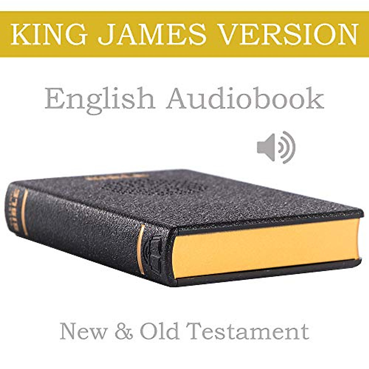 Talking Bible - Electronic Holy Bible Audio Player in English for ...