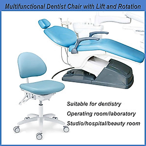 HYDTGZ Dental Chair Dentist Doctor's Stool Dental Assistant Chair Adjustable Mobile Chair PU Leather for Clinics, Dental Offices, Labs,A