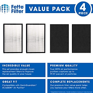 Fette Filter - True HEPA Air Purifier Filter Compatible with Germ Guardian FLT5600 Filter N for Model AC5600W. Compare to Part # FLT5600. (Pack of 2)