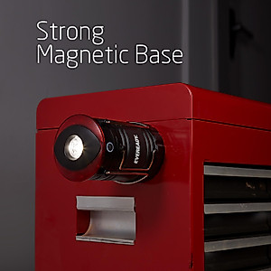 Eveready LED Camping Lantern 360 PRO (2-Pack), Super Bright Tent Lights, Rugged Water Resistant LED Lanterns, 100 Hour Run-time (Batteries Included)