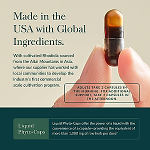 Gaia Herbs Adrenal Health Daily Support - with Ashwagandha, Holy Basil & Schisandra - Herbal Supplement to Help Maintain Healthy Energy and Stress Levels - 180 Liquid Phyto-Capsules (180 Count)