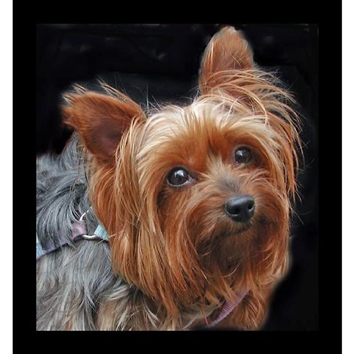 CafePress Yorkie Mug Ceramic Coffee Mug, Tea Cup 11 oz