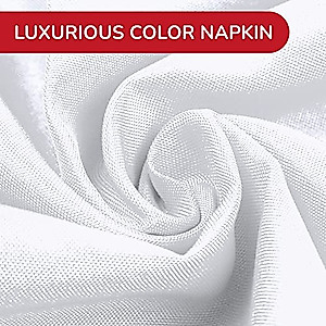 Leviharmony 12 Pack Cloth Napkins – White – 17 x 17 Inch – 100% Polyester Dinner Napkins – Table Napkins for Restaurant, Events and Weddings