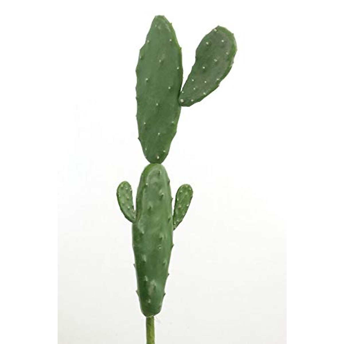 Renaissance 2000 17" Single Cactus, Multi