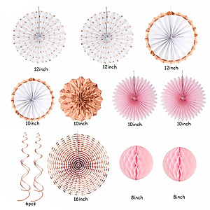 Pink Rose-Gold Bridal-Shower Party-Decorations Streamers - 17pcs Kits Bride To Be Banner Garland,Bachelorette Wedding Paper Tissue Pom Poms Fan,Honeycomb Lanterns Decor Panduola