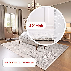 nuLOOM Odell Faded Vintage Area Rug, 5x7, Ivory