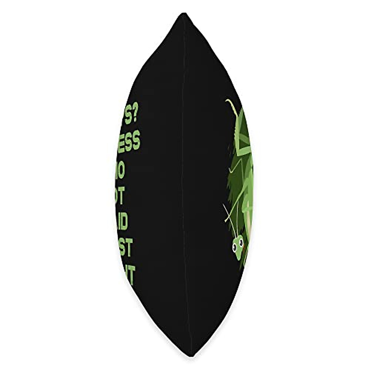 Praying Mantis Gifts & Accessories Sup Guys Guess Who Got Laid Last Night-Praying Mantis Throw Pillow, 16x16, Multicolor