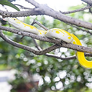 SIENON Realistic Fake Snakes Toy Soft Rubber Snake Figure Garden Snake Scare Birds and Squirrels, Python Action Model Snake Toy Figurines Stress Relief Toys Halloween Prank Props (Python)