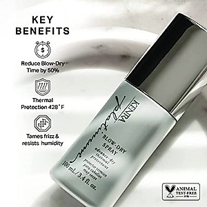 Kenra Platinum Blow-Dry Spray | Time-Saving Heat Protectant | Detangles, Smooths, and Softens | Eliminates Frizz & Resists Humidity | Medium To Coarse Hair | 6.8 fl. oz