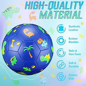 HyDren 2 Pcs Soccer Ball Size 3 for Boys Girls Cute Dinosaur Cartoon Soccer Toy Soft Durable Sports Soccer for Outdoor Indoor Game with Pump Christmas Back to School Gift (Dinosaur)