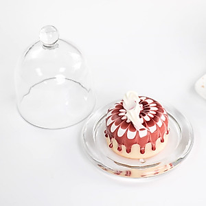 KVMORZE Glass Dessert Dome with Base, Mini Decorative Cake Tray with Glass Dome Cover, Cake Fruit Display Server Tray for Kitchen, Party, Weddings, Appetizer Dessert and Cheese Serving Platter