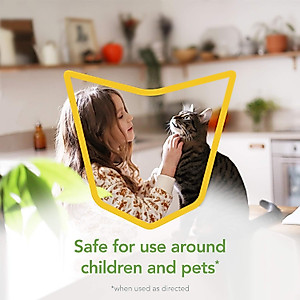 Raid Essentials Ant Spider, and Roach Killer Aerosol Spray, Child & Pet Safe, Kills Insects Quickly, 10 Ounce