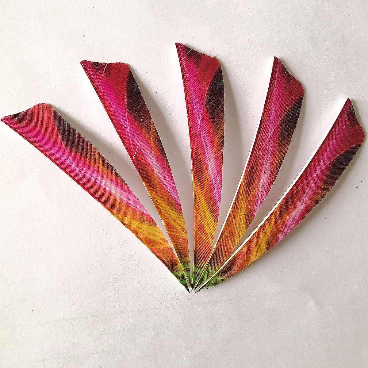 AMEYXGS 50pcs Archery Arrow Feather 4 Inch Natural Turkey Faether Colorful Arrow Fletches Right Wing Hunting Shooting Target Arrow Accessory (color 6)