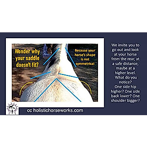 Holistic Horseworks “Level 1: Equine Musculoskeletal Unwinding” DVD Course - Certified Horse Massage Therapy Technique - Earn a Certificate of Completion - For Novice and Pro Horse Lovers