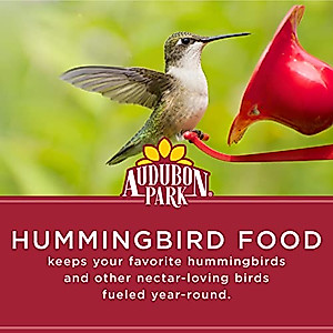 Audubon Park Hummingbird Food Wild Bird Nectar, Hummingbird Food for Outside Feeder, (3) 3-oz. Pre-Measured Packets