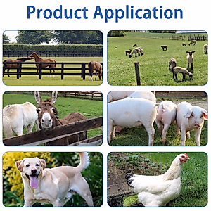 Electric Fence Energizer Plus 250,Electric Fence Charger PE2 0.10 Joule,Livestock Fence Chargers for Containing Pets and Keeping Out Small Nuisance Animals